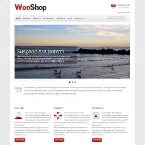 wooshop-theme - Dessky